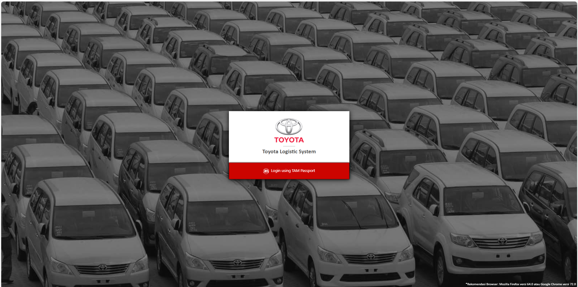 Portfolio - Kasyfunnur